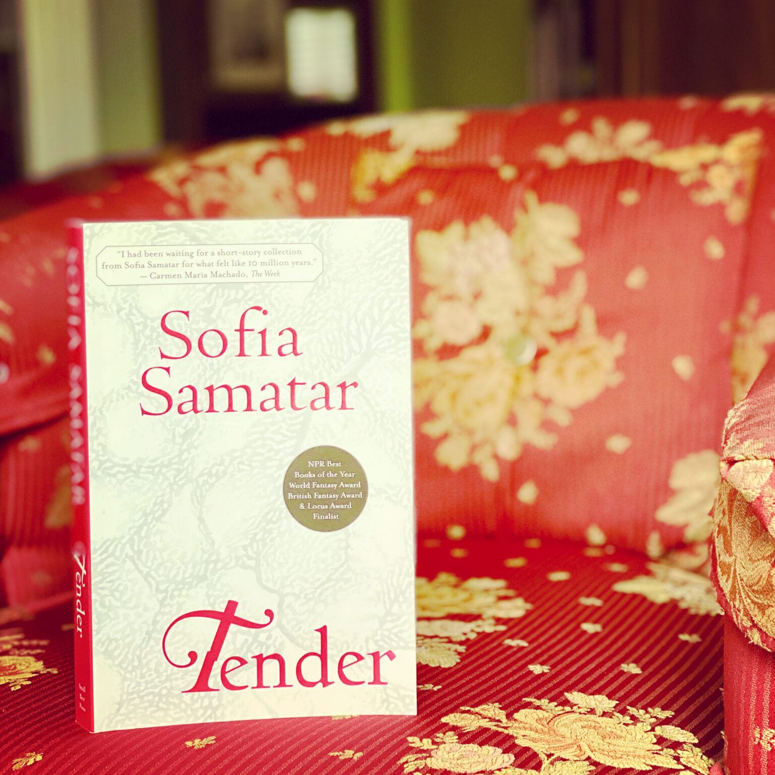 Review: Tender by Sofia Samatar – Scott Neigh