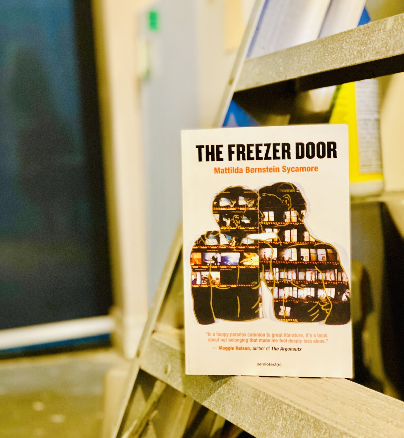 Review: The Freezer Door by Mattilda Bernstein Sycamore – Scott Neigh